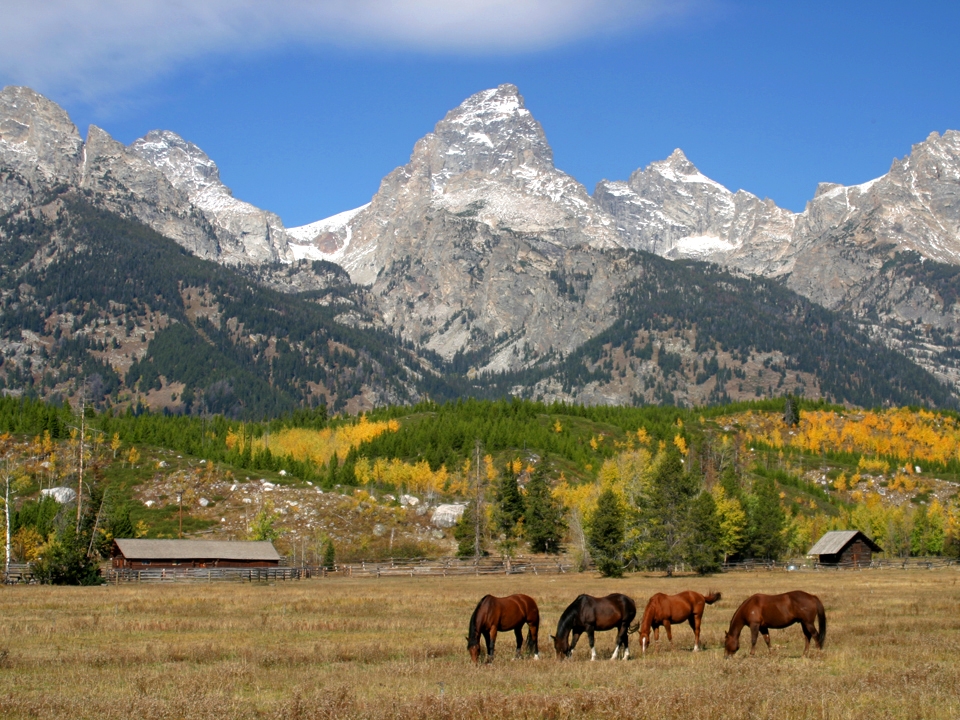 How to photograph the Grand Tetons near Jackson, Wyoming | Caryn Esplin ...