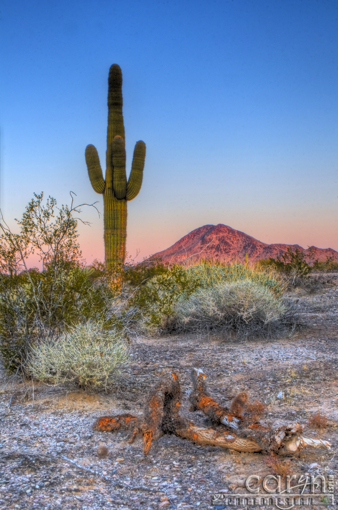 December Desert Sunrise | Caryn Esplin | Fine Art Photography