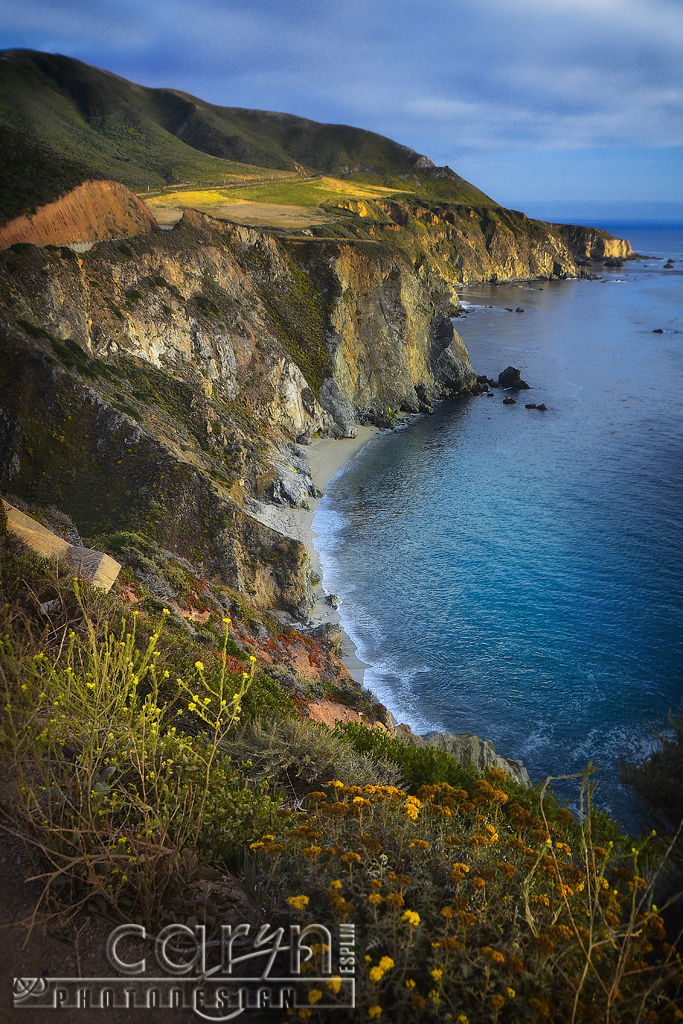 The Amazing Big Sur Coastline | Caryn Esplin | Fine Art Photography