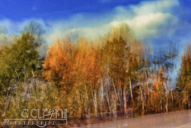 Autumn Abstract Splash of Color! | Caryn Esplin | Fine Art Photography