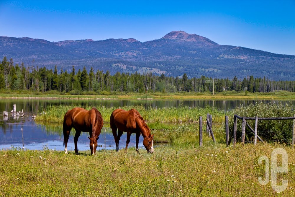 Countdown: Top 50 Summer Pics: #44 – Elk Creek Ranch | Caryn Esplin ...